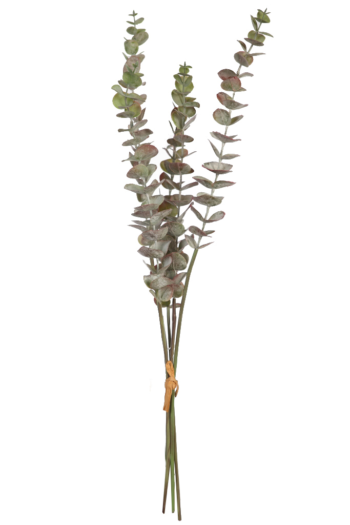 ATADO RAMAS EUCALIPTO ARTIFICIAL 60CM | andudecor.com